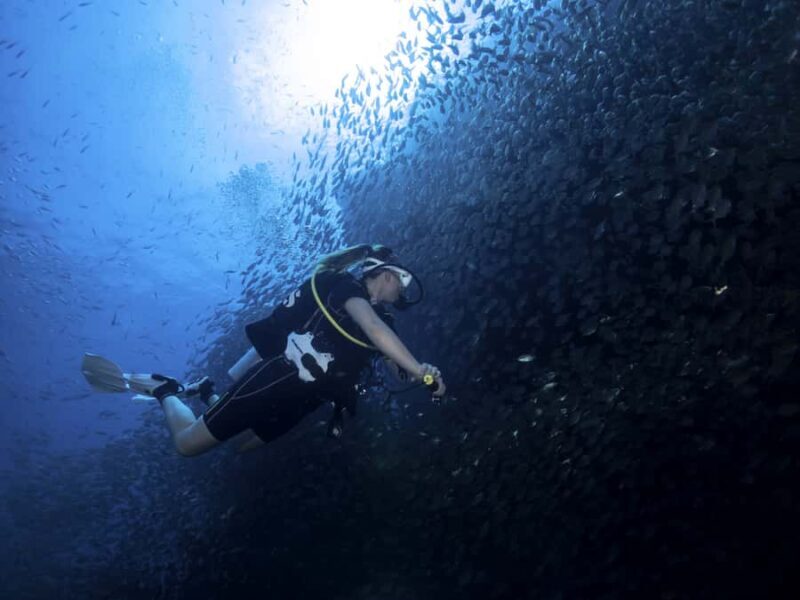 Koh Tao: Private Basic Diver Experience with 2 Dives - Key Points