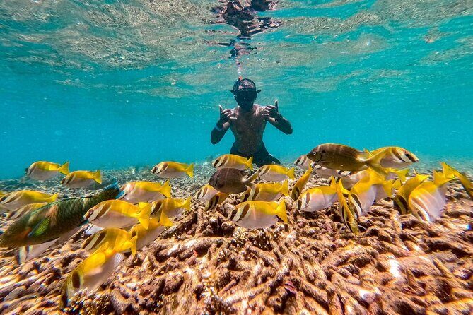 Koh Tao Snorkeling and Island Hopping Tour (Private) - The Sum Up