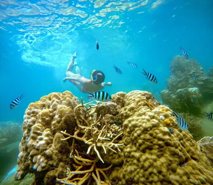 Koh Tao: Snorkeling Trip to Nang Yuan Island & Hidden Bays - Key Points