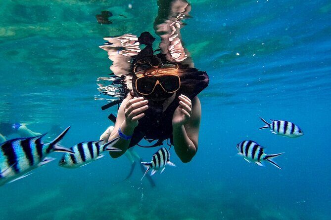 Koh Tao Viewpoint and Snorkeling Tour - Whats Included and Whats Not?