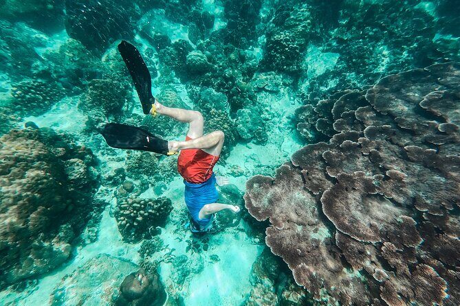 Koh Tao VIP Snorkelling Tour - An In-Depth Look at the Koh Tao VIP Snorkelling Tour