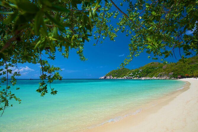 Koh Tao's First Light Snorkel Adventure with Oxygen Tours - Practical Tips for Participants