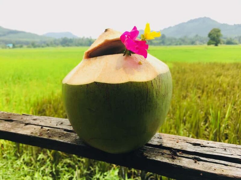 Koh Yao Noi: The Local Way of Life Eco Half-Day Tour - The Experience in Practice