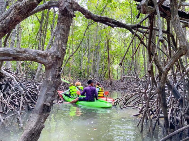 Koh Yao Yai: Klong Hia Mangrove Kayaking - Key Points