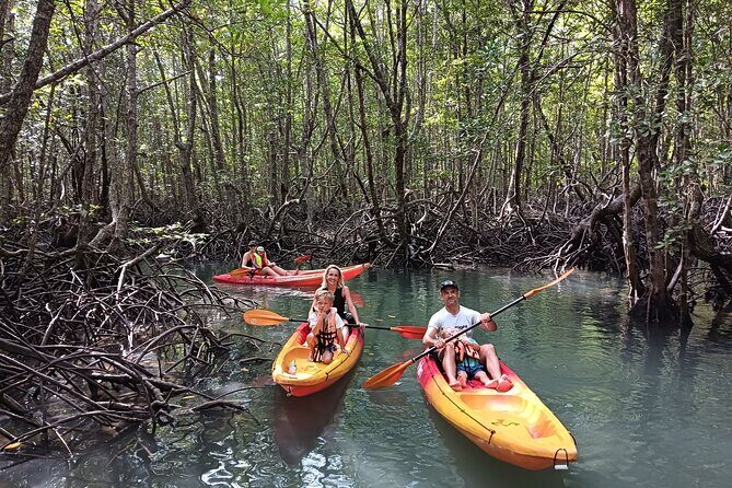 Koh Yao Yai Mangrove Forest Kayak with Local Life Discovery Tour - Key Points