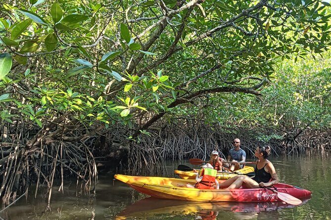 Koh Yao Yai Mangrove Forest Kayak with Local Life Discovery Tour - Exploring Koh Yao Yai’s Natural Beauty by Kayak