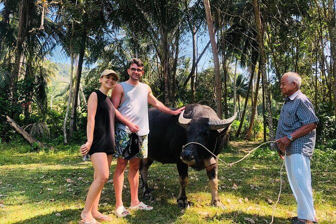 Koh Yao Yai Mangrove Forest Kayak with Local Life Discovery Tour - Savoring a Homemade Thai Lunch