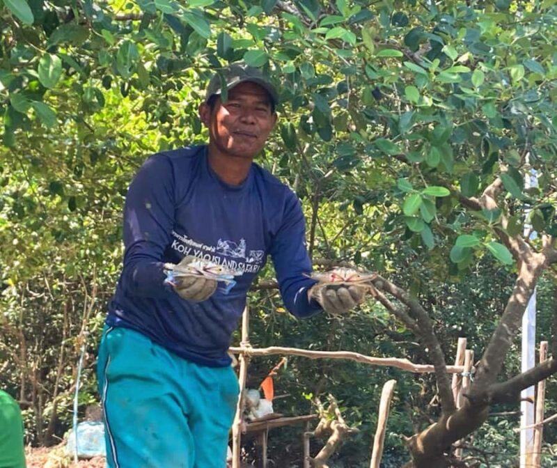 Koh Yao Yai : Mangrove Kayaking Adventure - Final Thoughts on the Mangrove Kayaking Tour