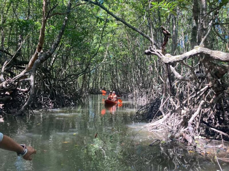Koh Yao Yai : Mangrove Kayaking Adventure - FAQ about the Koh Yao Yai Mangrove Kayaking Adventure