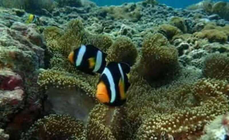 Koh Yao Yai/Noi: Ko Hong & Island Hopping by Long Tail Boat - Introduction