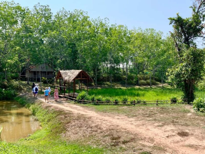 Koh Yao Yai: Options of Community Tour, Ethical Elephant - A Deep Dive into the Experience