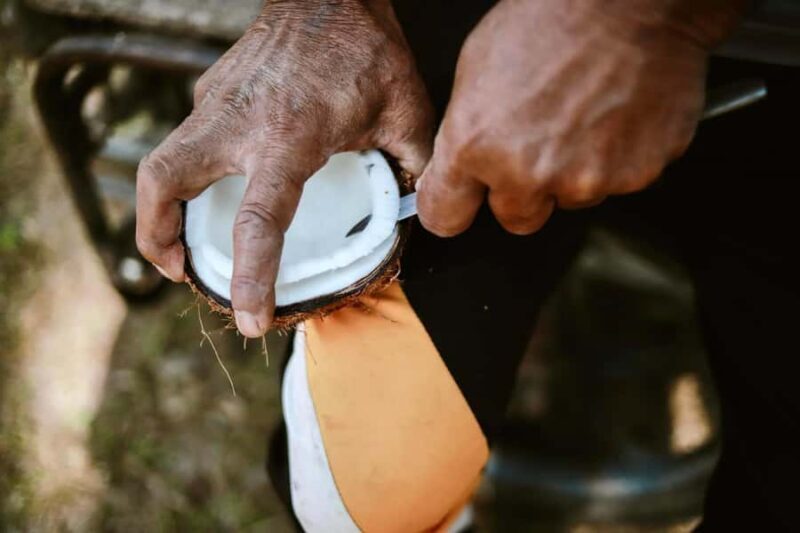 Koh Yao Yai: Options of Community Tour, Ethical Elephant - The Sum Up