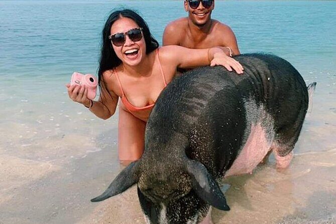 kohsamui.tours - Pig Island Snorkeling Eco Tour by Speed Boat - What We Think: The Pros and Cons