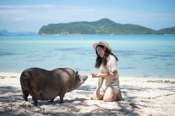 kohsamui.tours - Pig Island Snorkeling Eco Tour by Speed Boat - The Experience: What Travelers Say