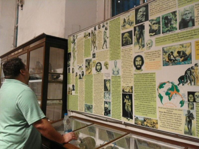 Kolkata: Full-Day City Tour for an immersive experience - The Sum Up