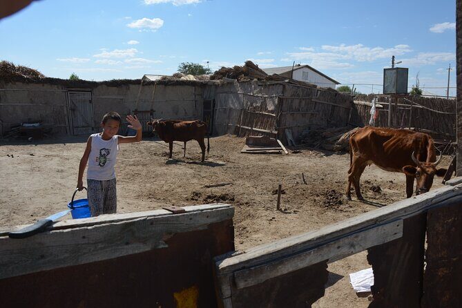Kolkhoz: Private visit to the cotton farmers' village - Lunch: Local Home-Style Uzbek Cuisine