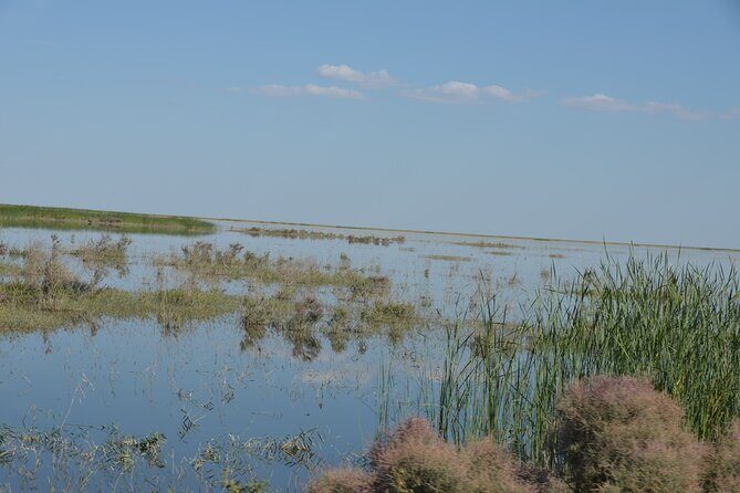 Kolkhoz: Private visit to the cotton farmers' village - Return to Samarkand