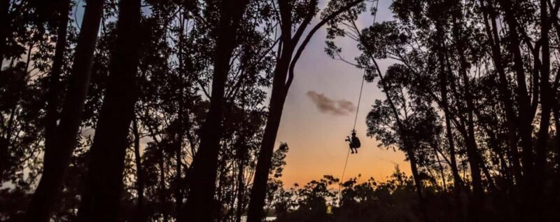 Koloa: Kauais Longest 8-Line Zipline Tour - Final Thoughts