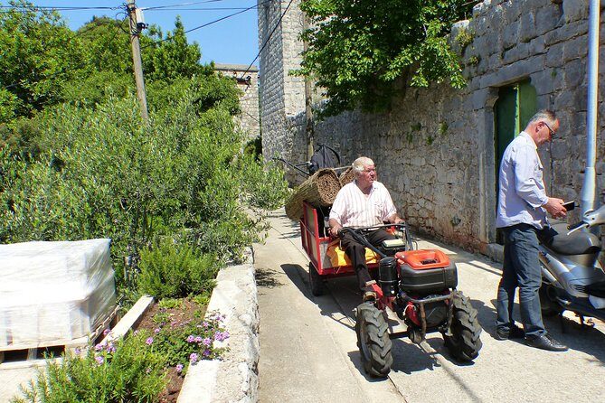 Kolocep Island Hiking and Swimming Full Day Trip from Dubrovnik - Practicalities and Tips