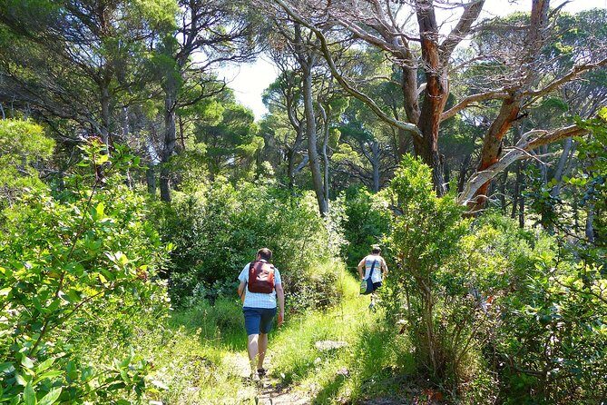 Kolocep Island Hiking and Swimming Full Day Trip from Dubrovnik - FAQ