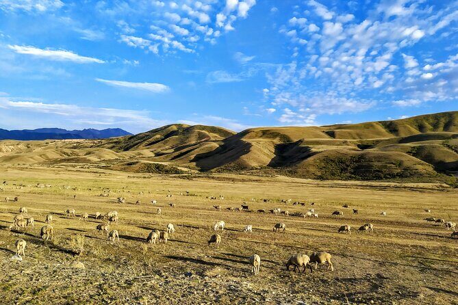 Kolsai / Kaindy Lake / Charyn Canyon one-day tour (choose 2 of the 3 sights) - FAQ