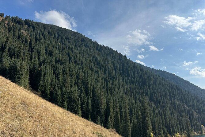 Kolsai Kaindy Lakes and Charyn Canyon Day Tour Lunch Included - Final Words