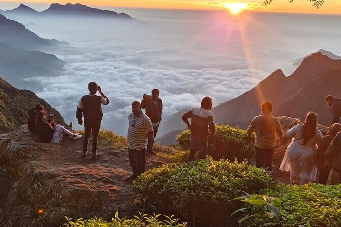 Kolukkumalai Sun Rise Trekking and Jeep Safari - Key Points