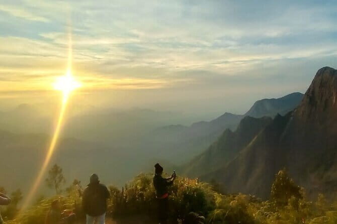Kolukkumalai Sun Rise Trekking and Jeep Safari - Who Will Love This Tour?