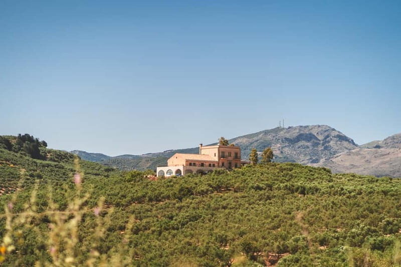 Kolymvari: Biolea Olive Oil Enthusiast Tour - Key Points