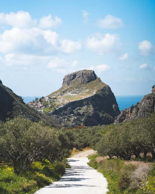 Kolymvari: Biolea Olive Oil Enthusiast Tour - A Closer Look: The Itinerary and Experience