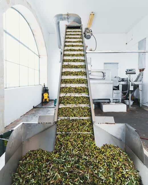 Kolymvari: Biolea Olive Oil Enthusiast Tour - Who Will Love This Tour?