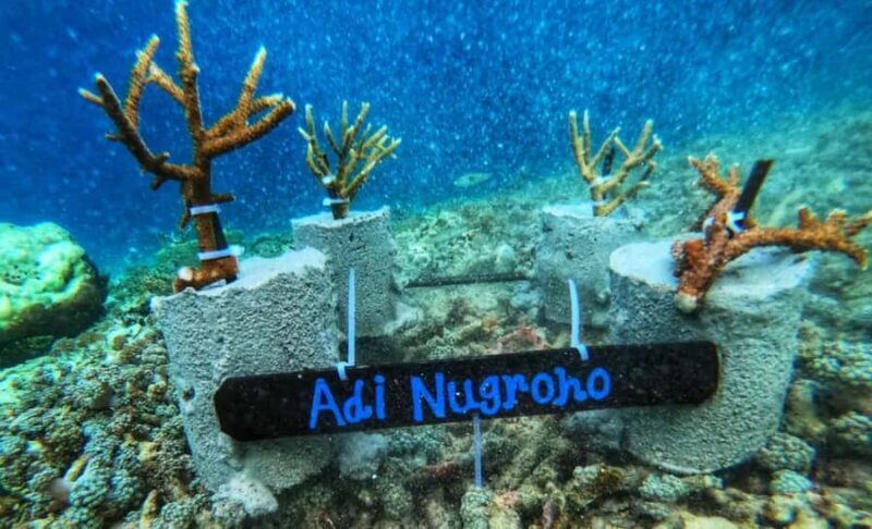 Komodo Conservation Tour with unique experience - An In-Depth Look at the Komodo Conservation Tour