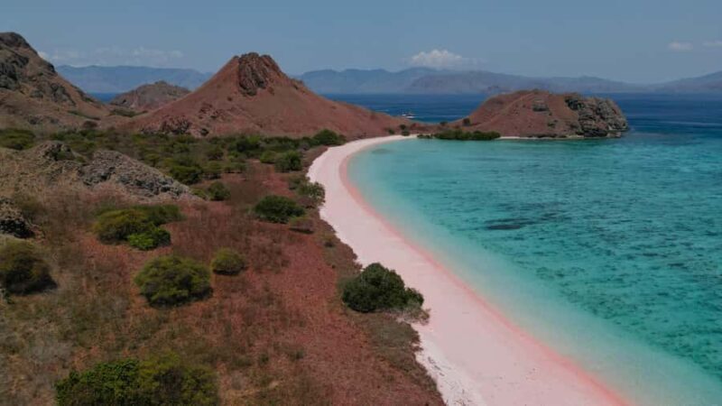 Komodo Full Day Speedboat Tour from Labuan Bajo - Key Points