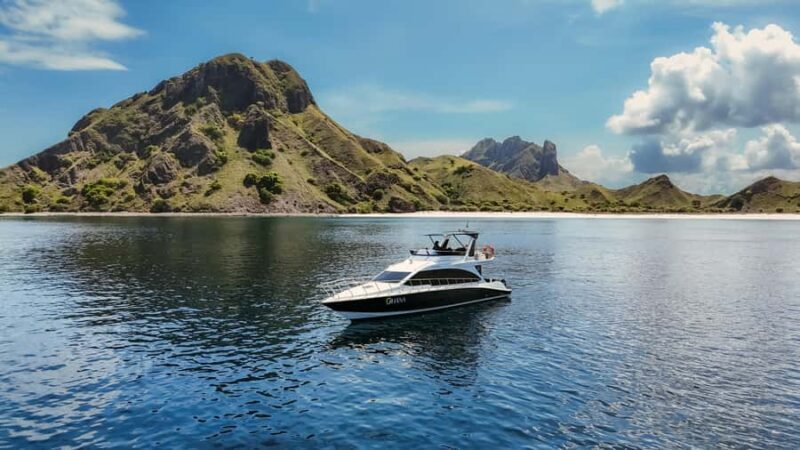 Komodo Full Day Speedboat Tour from Labuan Bajo - An Overview of the Experience