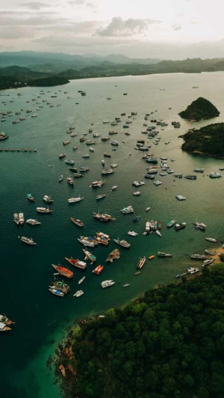Komodo Full Day Speedboat Tour from Labuan Bajo - Final Thoughts: Is This Tour Right for You?