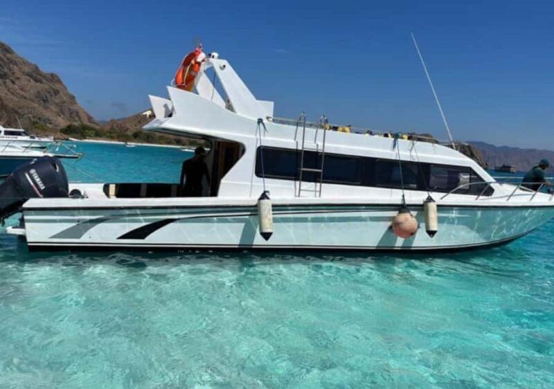 Komodo Island: 3D2N Private Speedboat Tour with Hotel - Frequently Asked Questions