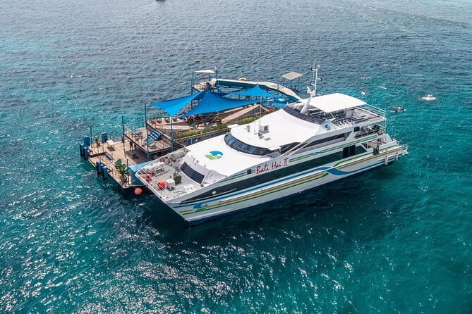 Komodo Island Adventure from Bali (Day Trip) - Who Is This Tour Best For?
