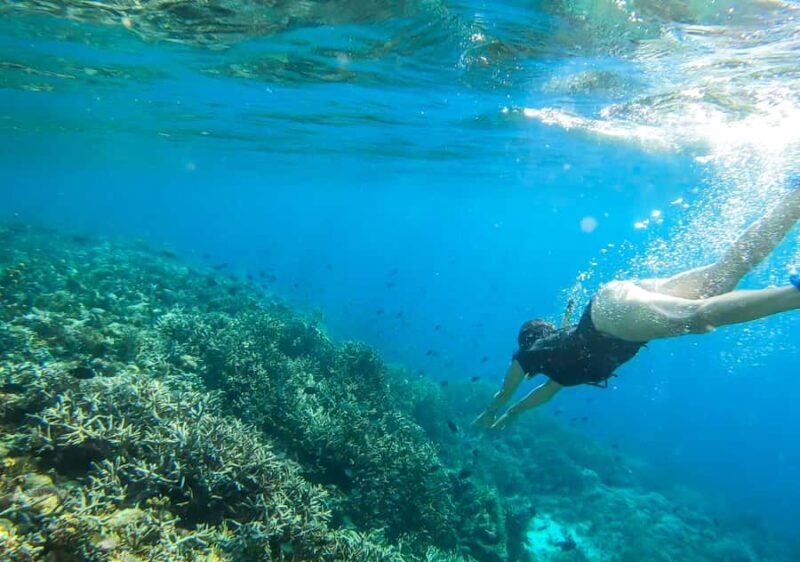 Komodo Island: Private 3-Day Tour with Boat and Hotel Stay - Key Points