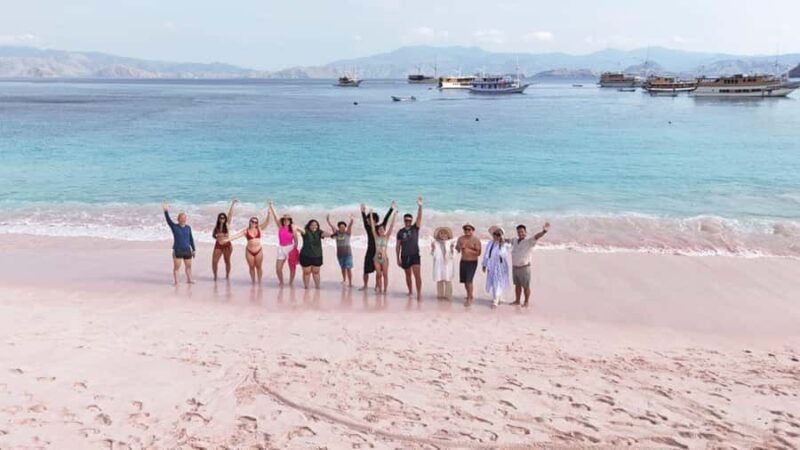 Komodo Island Shore Excursion for Cruise Ship Passengers - An Honest Look at the Komodo Island Shore Excursion