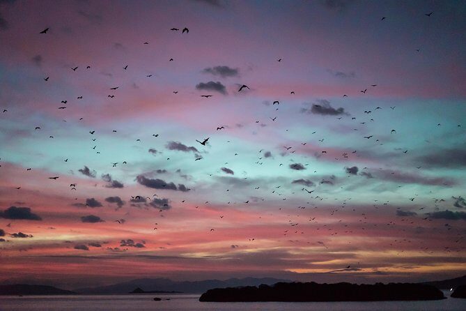 Komodo Private Boat tour 3Days 2 Night - Detailed Review: What to Expect on Your Komodo Boat Adventure