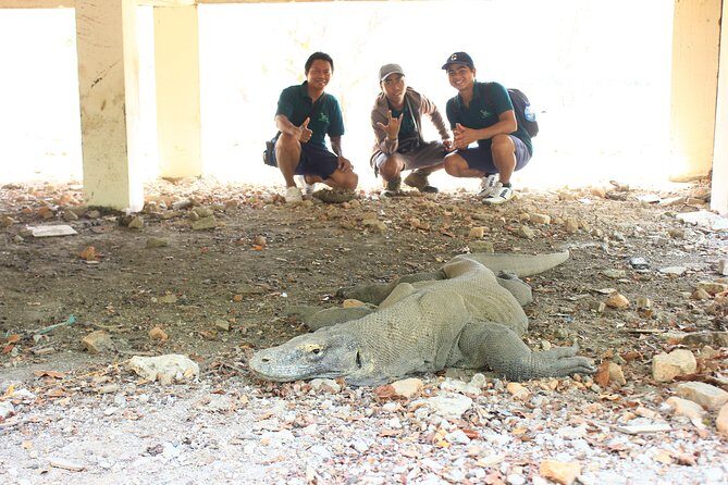 Komodo Sailing cruise - Authentic Experiences and Highlights