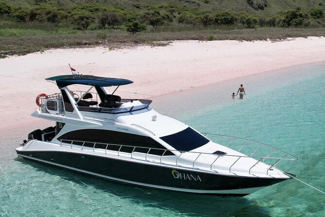 Komodo & Snorkeling Adventure by Private Speedboat - Snorkeling at Pink Beach and Beyond