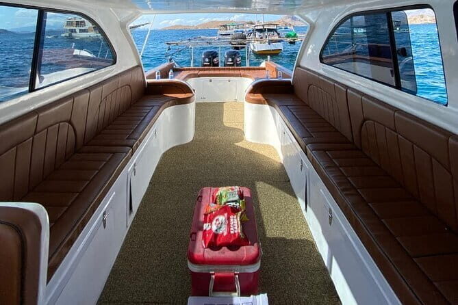 Komodo & Snorkeling Adventure by Private Speedboat - The Return and Overall Pace