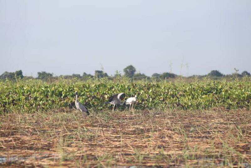 Kompong Khleang Floating Village: Full-Day from Siem Reap - Final Thoughts