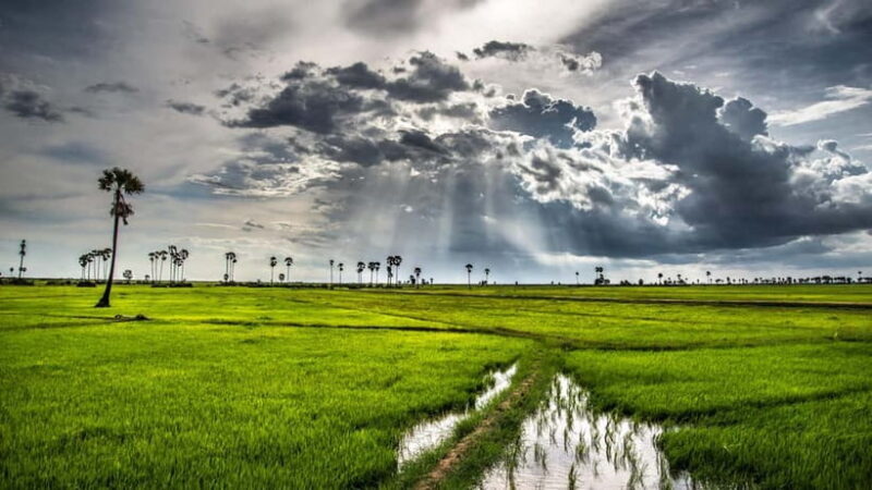 Kompong Kleang Village and Tonle Sab Lake - A Practical Look at the Kompong Kleang Village and Tonle Sap Lake Tour