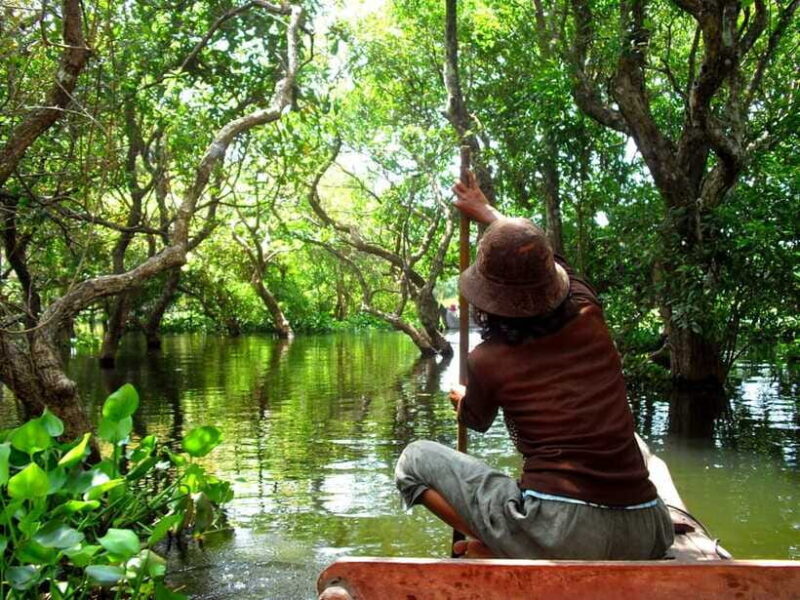 Kompong Phluk and Tonlé Sap Lake: Half-Day Tour - What You’ll Love About This Tour