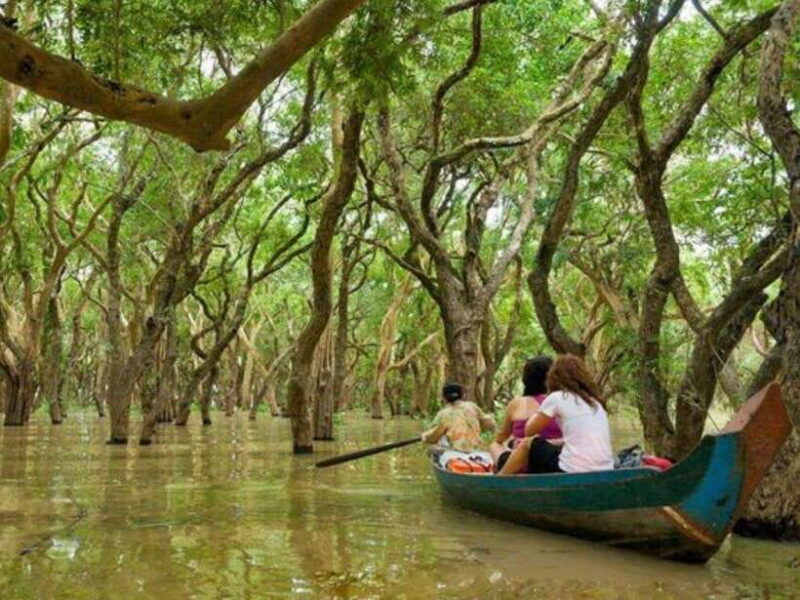 Kompong Phluk Floating village & Mangrove forest Cruise Tour - Discovering the Kampong Phluk Floating Village & Mangrove Forest Cruise Tour