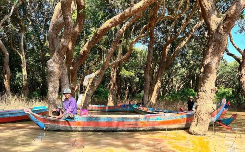 Kompong Pluk Tour - Optional Side-Trip: Flooded Forest