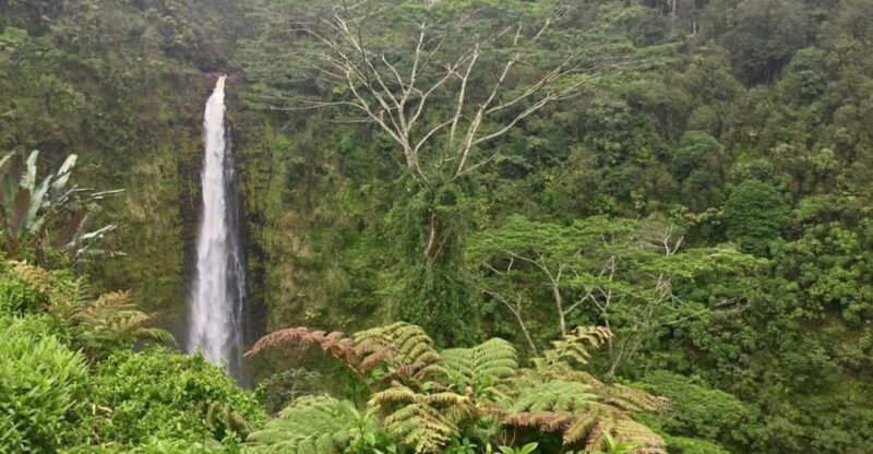 Kona: Big Island Big Volcano Adventure - What Could Be Better