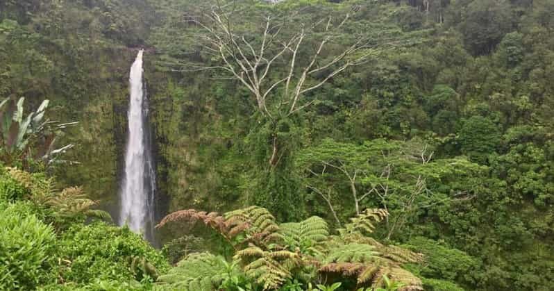 Kona: Big Island Big Volcano Adventure - Who Might Want More?